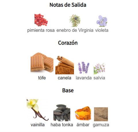 Decant Stronger With You Intensely de Giorgio Armani - Coleccionado Aromas